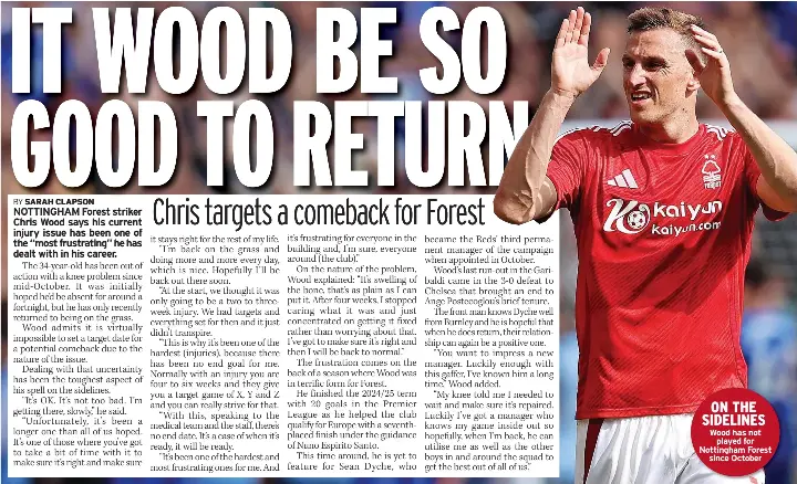 IT WOOD BE SO GOOD TO RETURN - PressReader