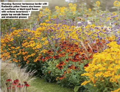 TOP TIPS TO ADD SUMMER COLOUR - PressReader