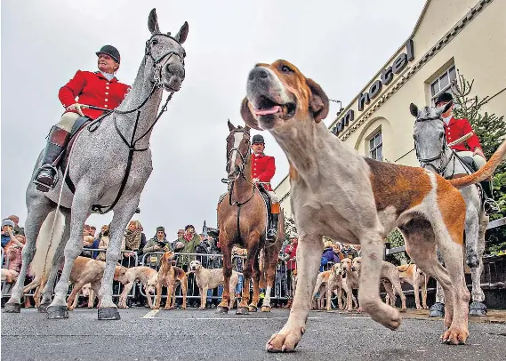 ‘Foxhunters are a vilified minority – the law should protect us ...