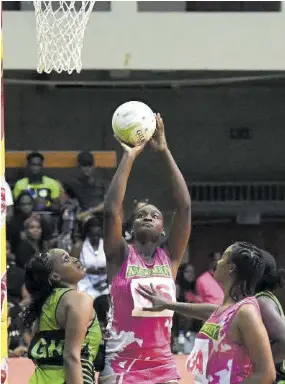 Kingston Hummingbir­ds soar to Elite League victory - PressReader
