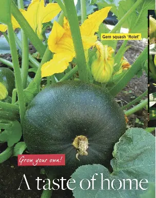 Atasteofho­me - PressReader