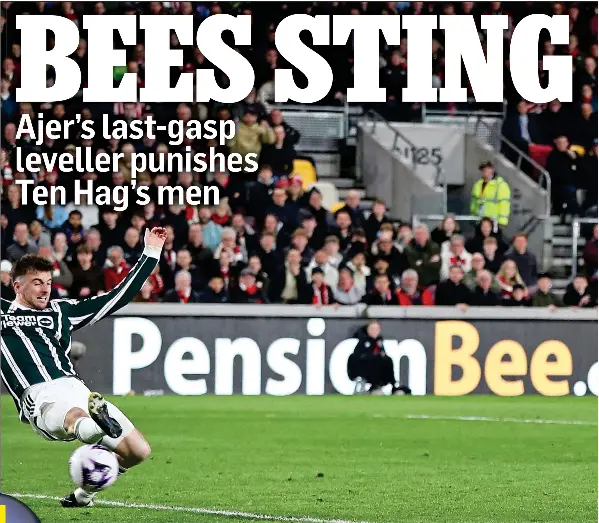 BEES STING UNITED - PressReader
