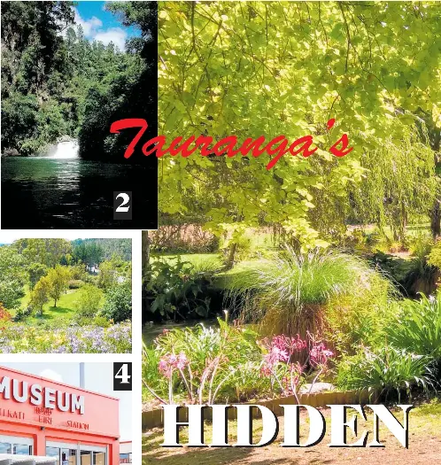 Tauranga’s HIDDEN GEMS - PressReader