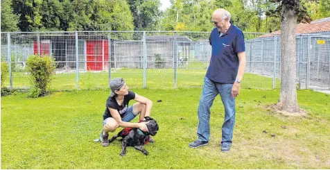 Die Tierheim-Arche schwimmt weiter - PressReader