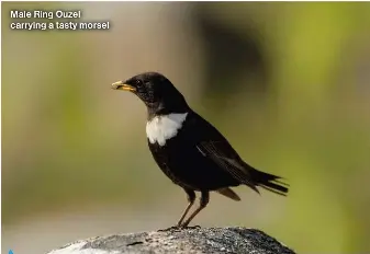 Treading carefully - PressReader