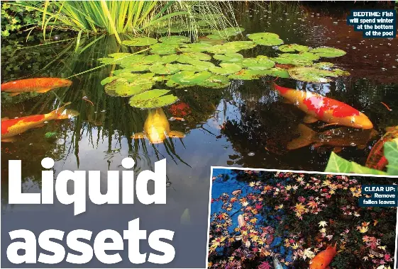 Liquid assets - PressReader