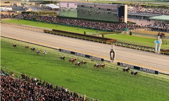 PRIME POSITION - PressReader