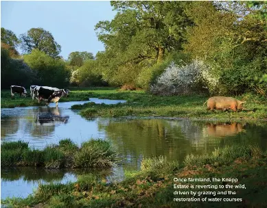 Knepp Estate - PressReader