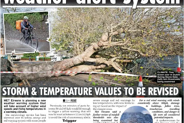 Govt is ‘all at sea’ over bird protection site - PressReader