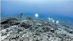 ‘PRISTINE’ ROSE-SHAPED CORAL REEF OFF TAHITI INSPIRES SCIENTISTS ...