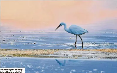 Alan gets his ducks in a row to clinch first prize - PressReader