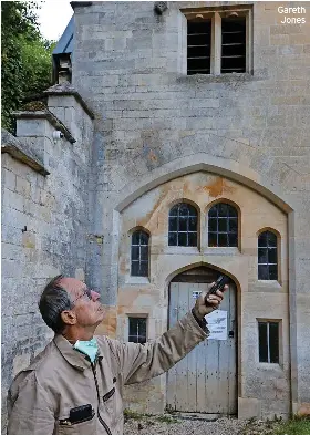 Honoured researcher pays tribute to his ‘bat widow’ - PressReader