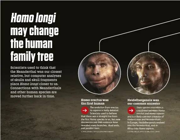 Homo longi may change the human family tree - PressReader