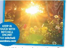 Ask Mitchell - PressReader