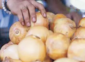 Yellow onion prices stable as imports arrive - PressReader