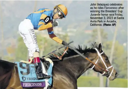 16-1 shot Fierceness wins Breeders’ Cup Juvenile - PressReader
