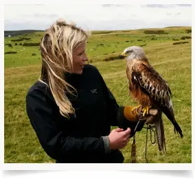 Ellie Harrison - PressReader