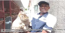 Commercial rabbit producer trains farmers - PressReader