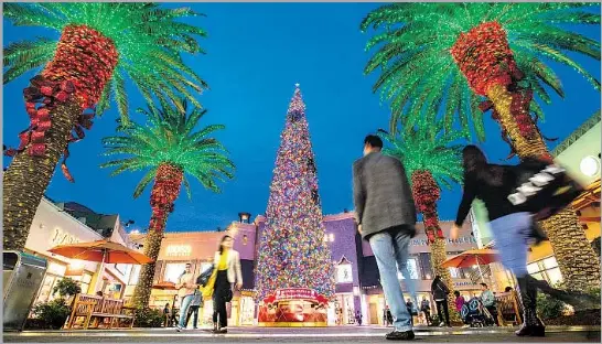 Citadel’s tree stands so tall - PressReader