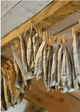 WHAT YOU’LL NEED - PressReader