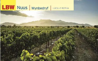 Dís wat SA se 50 beste wynboere reg doen - PressReader