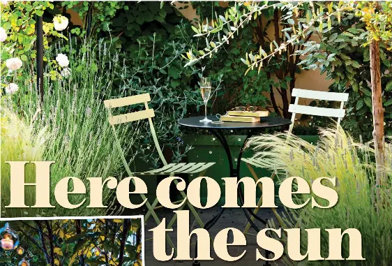 Here comes the sun - PressReader