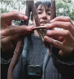 BORN TO BE WILD - PressReader