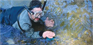 California’s wet winter sparks a new gold rush - PressReader