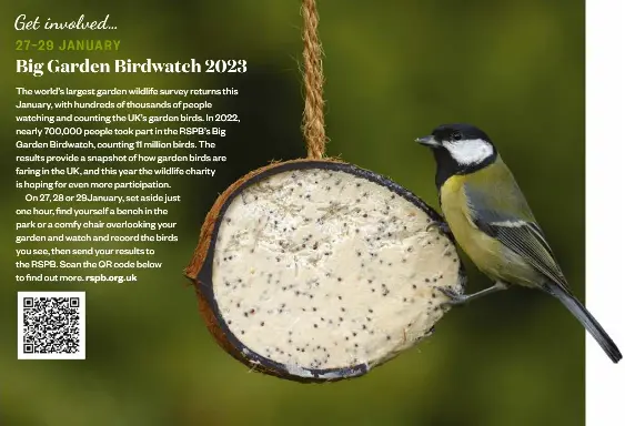 Big Garden Birdwatch 2023 - PressReader