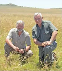Cattle farming basics: Sweetveld vs sourveld, and how to get the best ...
