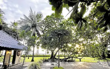 Wild, unstudied landscape evokes nostalgia in this Dumaguete resort ...