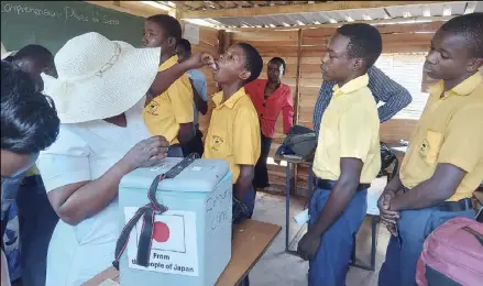 Manicaland moves to7 stem cholera tide - PressReader