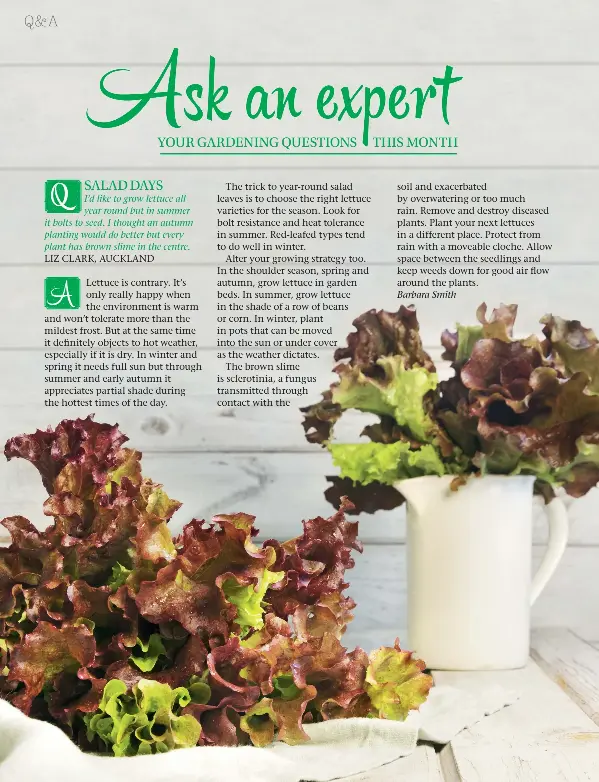 Ask our experts - PressReader