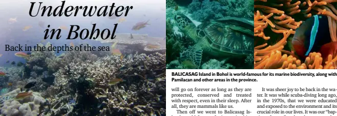 Underwater in Bohol - PressReader