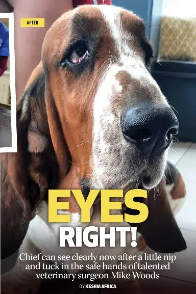 EYES RIGHT! - PressReader