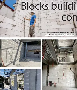 Blocks building an eco-friendly constructi­on industry - PressReader