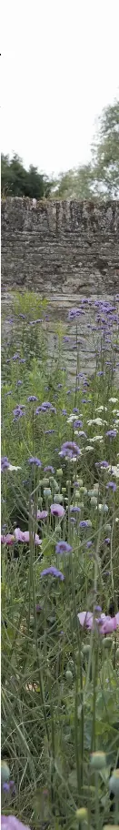 Growing pains - PressReader