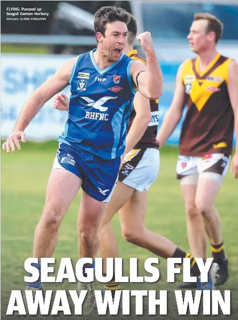 SEAGULLS FLY AWAY WITH WIN - PressReader