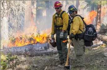 ‘Beneficial fire’ - PressReader