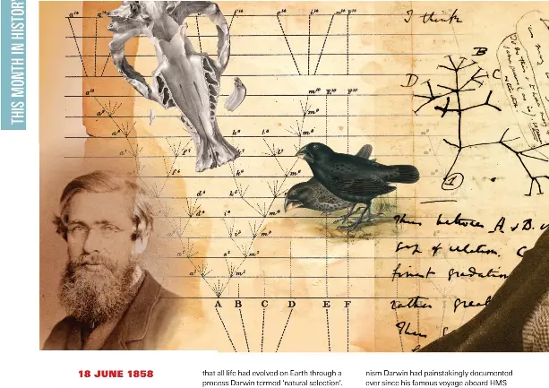 Charles Darwin receives a shock in the mail - PressReader