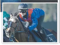 Zaaki to take Kah for spin - PressReader