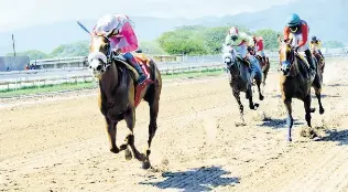 In-form Miniature Man looks good for Yvonne Mattis Cup - PressReader