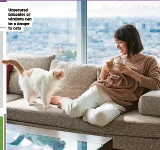 Are cats safe in a high-rise home? - PressReader