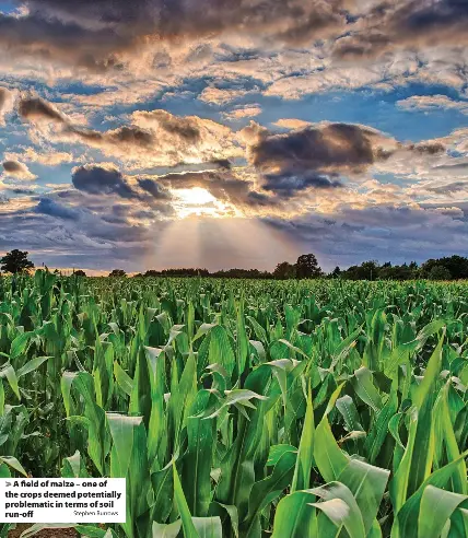 Farmers are warned of risk posed by crops - PressReader