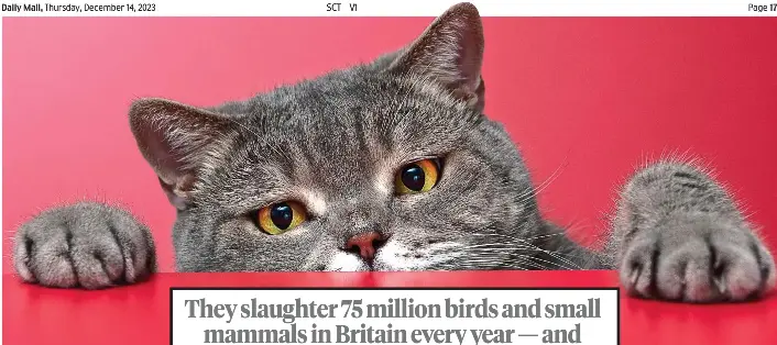 IT’S TIME TO WAGE WAR ON KILLER CATS - PressReader