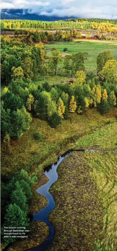 REWIGGLING A RIVER - PressReader