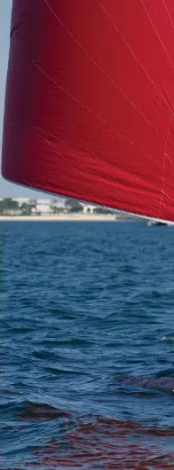 Coup de coeur du jury - PressReader