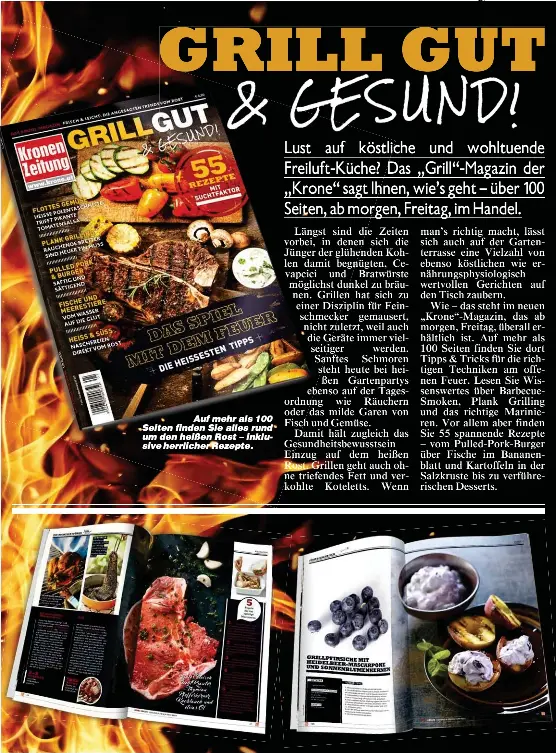 GRILL GUT & GESUND! - PressReader