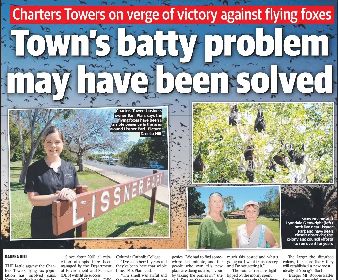 Town’s batty problem may have been solved - PressReader