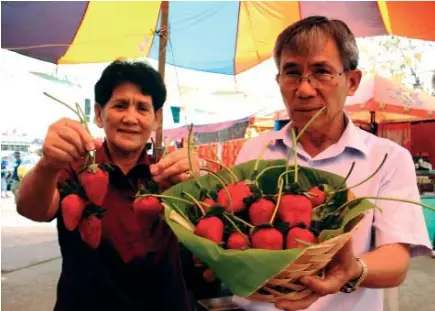 Baguio-wide quake drill set - PressReader